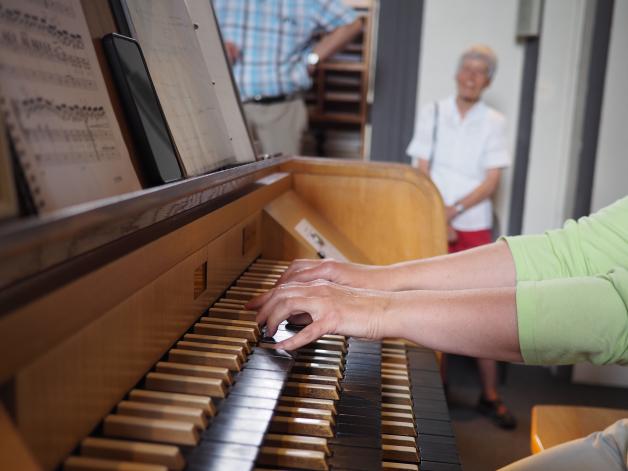 Orgel St. Marien Delmenhorst: Organist bändigt ein wildes Wesen
