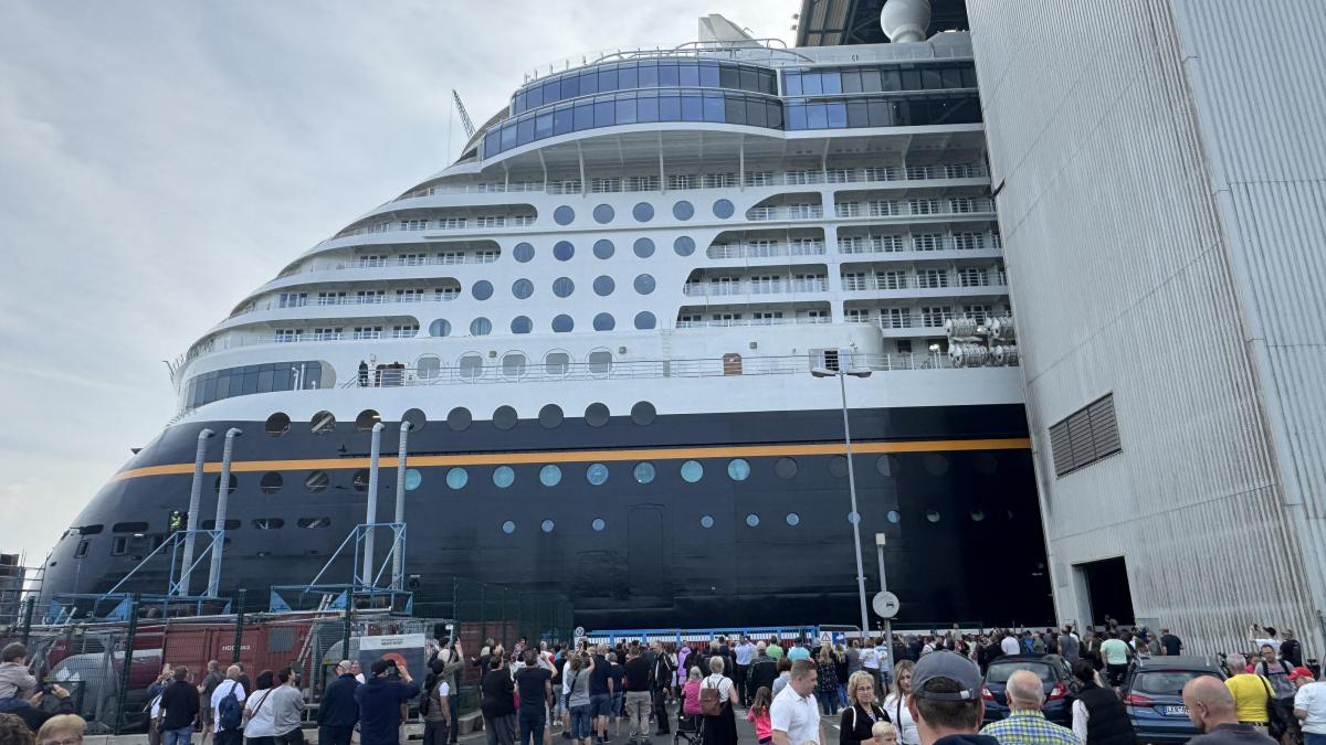 Diese Schiffe baut die Meyer Werft in Papenburg als nächstes