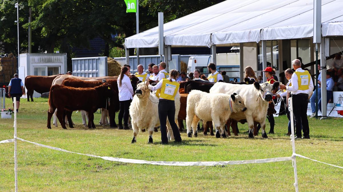 Norla 2025 Rendsburg: So bunt war die 75. Landwirtschaftsmesse