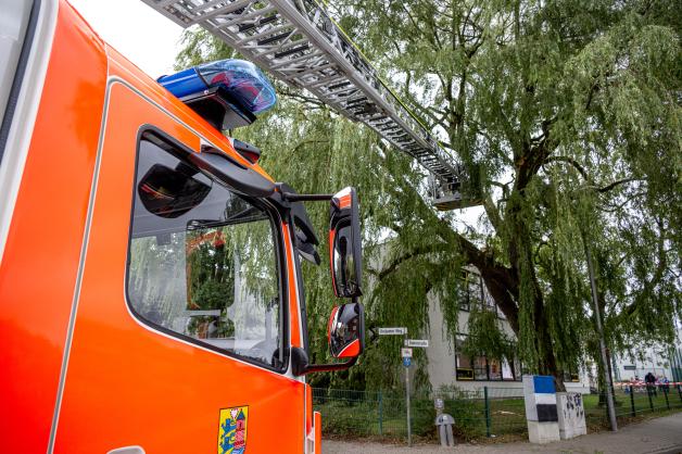 Tief „Zack“: Baum kracht auf Schulgelände in Flensburg-Weiche