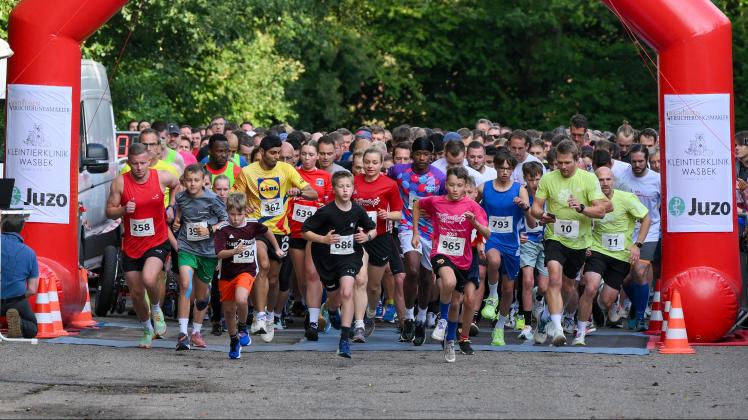 Fast 1000 Läufer starten beim Kowsky-Lauf: Das sind die Sieger