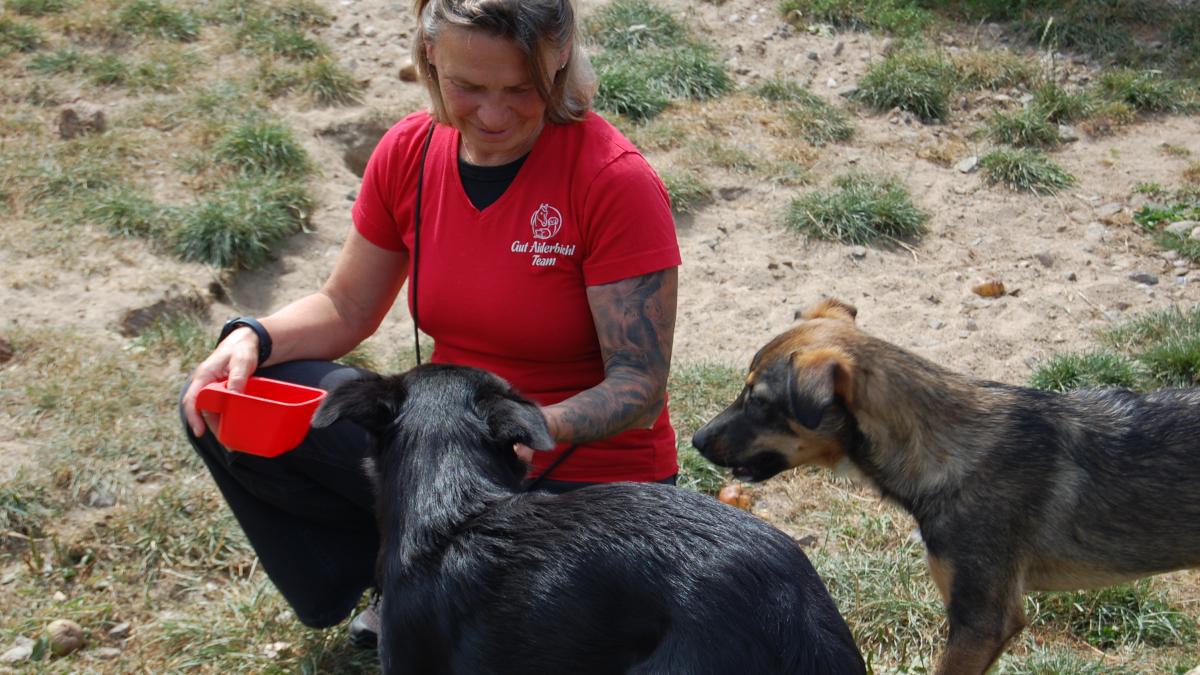 Andrea Sawatzki holte Straßenhunde nach Bissendorf