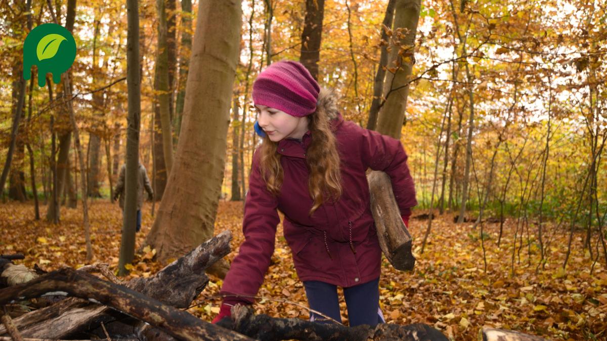 Stadtwald Fahlt in Pinneberg: Warum er für das Klima wichtig ist