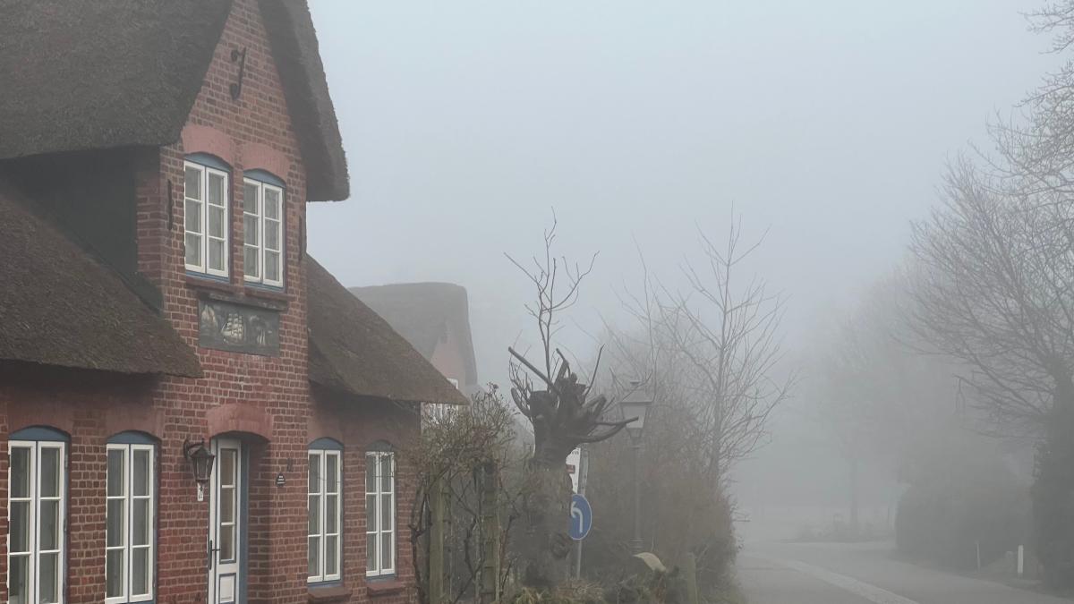 Wie Nebel auf Amrum Dauer- und Ferienwohnen erlauben will