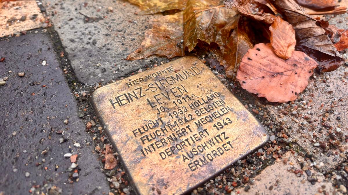 Stolperstein App aus SH: So werden jetzt Biografien digitalisiert