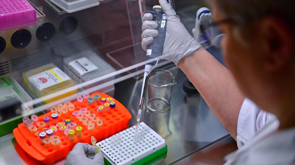 EU lockert Gentechnikregeln - was das für Verbraucher bedeutet