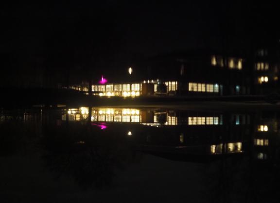 Mystischer Mühlenteich in Uetersen: Spiegelbilder im Rosarium