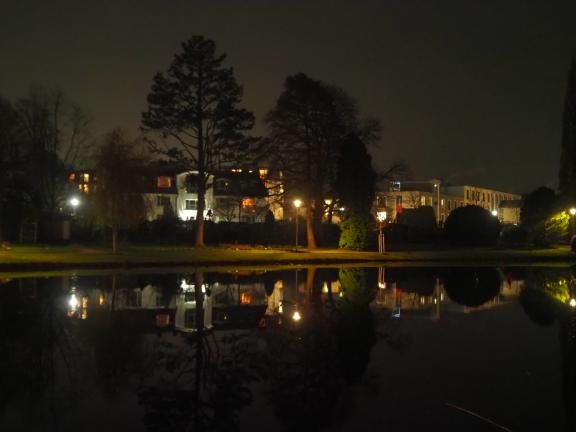 Mystischer Mühlenteich in Uetersen: Spiegelbilder im Rosarium