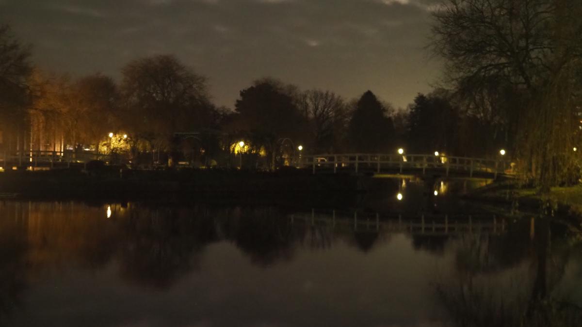 Mystischer Mühlenteich in Uetersen: Spiegelbilder im Rosarium