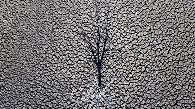 Neues Klimaziel der EU: Was das für Verbraucher bedeutet