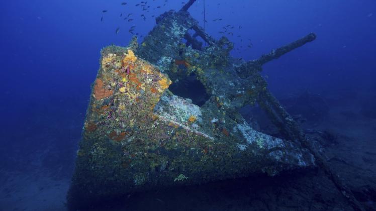Meilenstein erreicht: Gold aus legendärem Schiffswrack geborgen