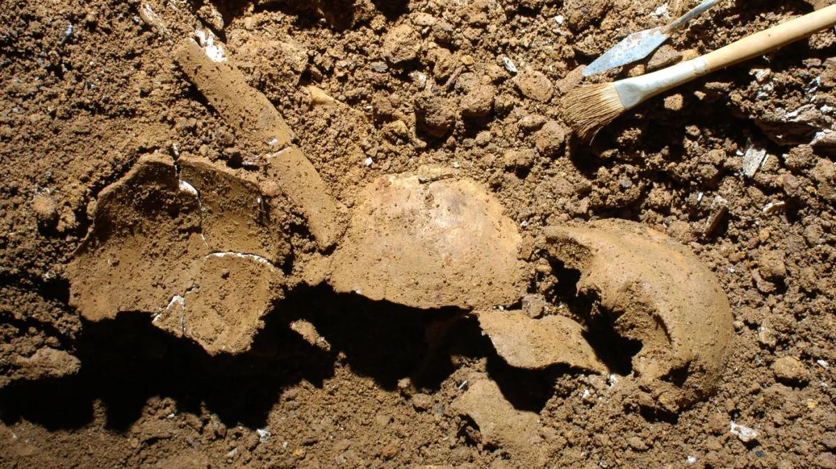 Nach DNA-Analyse: 3700 Jahre alter Inzestfall nachgewiesen