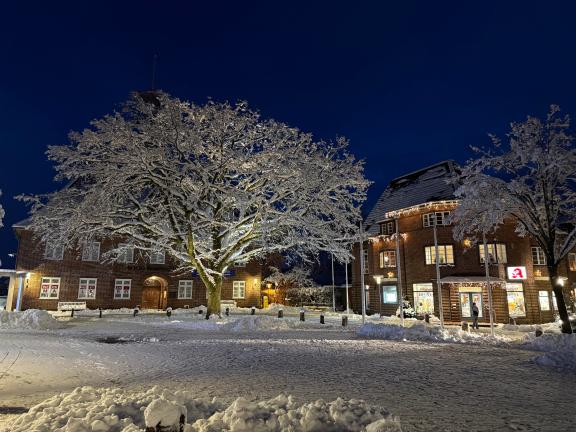 Schnee in Nordfriesland - die schönsten Fotos