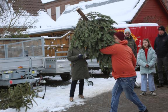 Tannenbaum-Weitwurf in Friedrichstadt – die schönsten Bilder
