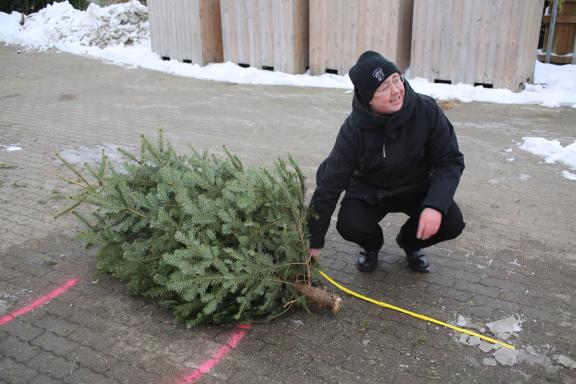 Tannenbaum-Weitwurf in Friedrichstadt – die schönsten Bilder