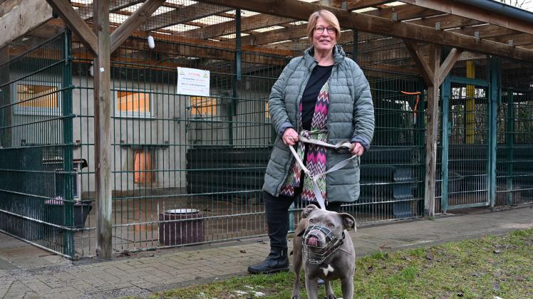 Tierheim Bad Oldesloe droht Schließung – neuer Standort gesucht