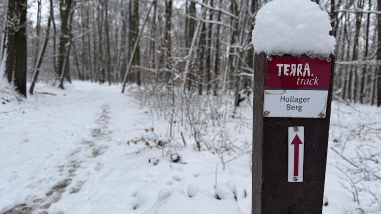 Schneelandschaft am Hollager Berg in Wallenhorst
