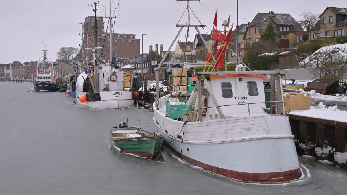 Hafen Kappeln: Kein Fisch, dafür Segelboote und gestiegene Gebühr