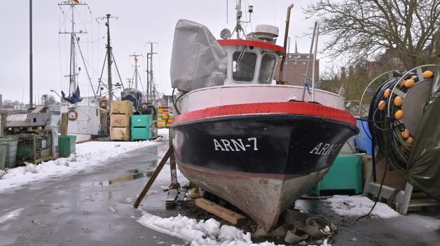 Hafen Kappeln: Kein Fisch, dafür Segelboote und gestiegene Gebühr