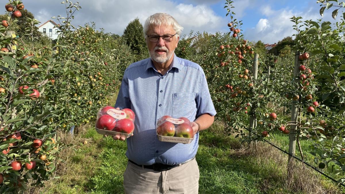 Allergikerfreundlicher Apfel aus Osnabrück gewinnt Preis