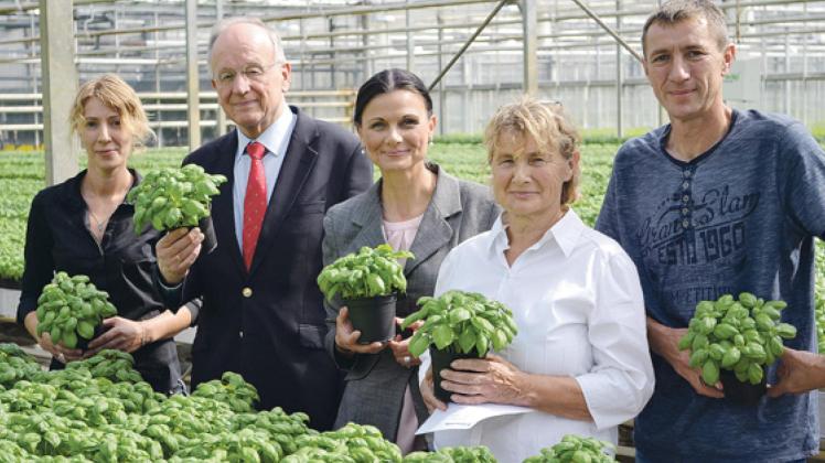 »Das grüne Herz in der Region«
