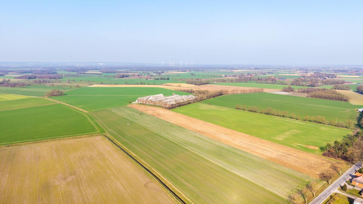 Solarpark Schwege (Hunteburg): Bürger stellen Renino GmbH Fragen