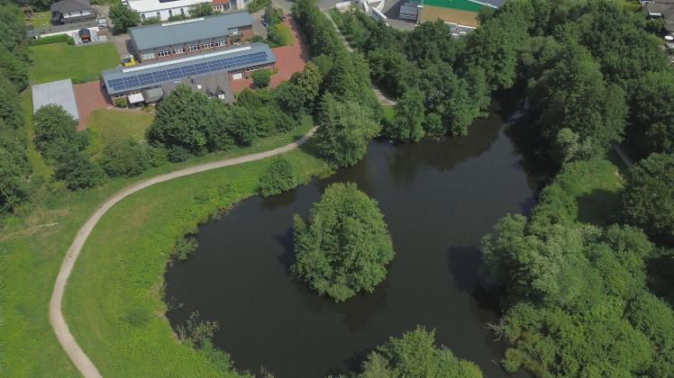 Schwimmt ein Reptil in diesem Teich in Vechta?