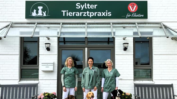 Tierarzte Auf Sylt