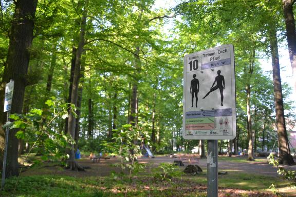 Kostenlose Ausflugtipps im Kreis Pinneberg – für die Familie