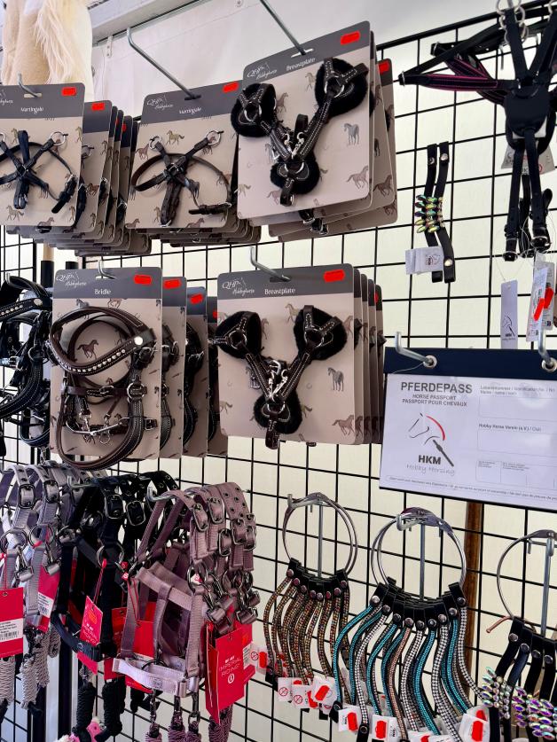 CHIO Aachen: Wird Reiten zum Elitesport?