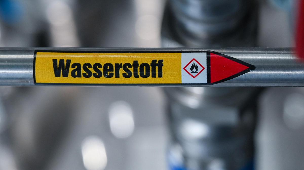 Wasserstoff: Netzbetreiber planen nun doch neue Leitung in SH