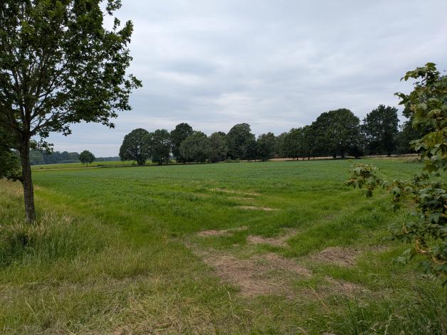 Bau von Windenergieanlagen auf dem Venner Berg: eine Chronologie